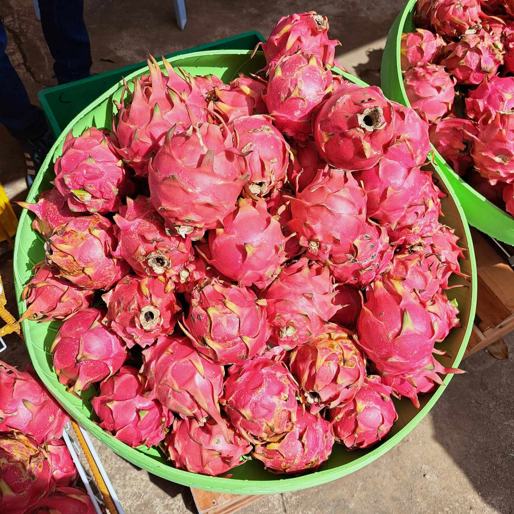 The Dragon Fruit Slayer: Bonifacio Tespoer - Iloilo Blogger She Mae